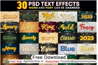 2023 Luxury Photoshop Editable 3d Text Effect Style Pack – DGPik