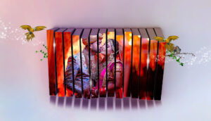 4 Beautiful 3D Photo Frame Magic PSD - DGPik