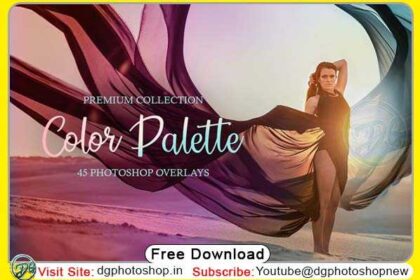 Color Palette Photoshop Overlays Pack - DGPik