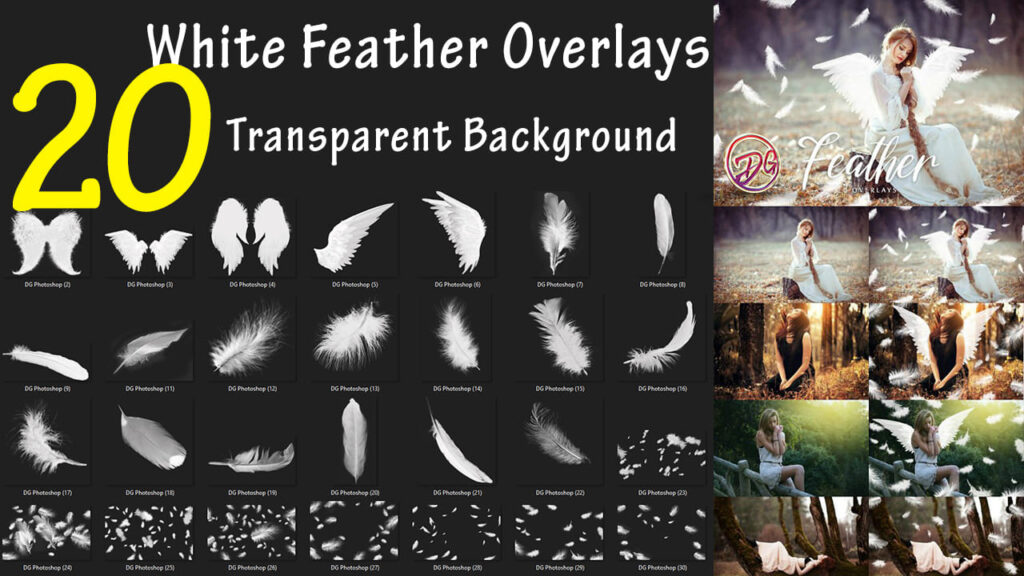 20 White Feather Overlays Png Super Pack – DGPik