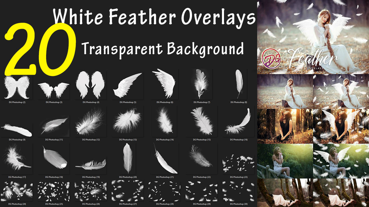 20 White Feather Overlays Png Super Pack – DGPik