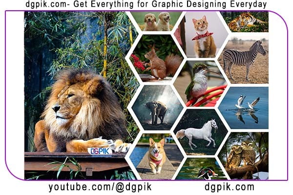 15 Unique Collage Photo Frame Bundle - DGPik